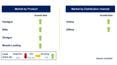 Airsoft Gun Market Report: Trends, Forecast and Competitive Analysis to ...