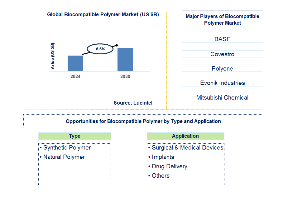 Biocompatible Polymer Market Report: Trends, Forecast and Competitive ...