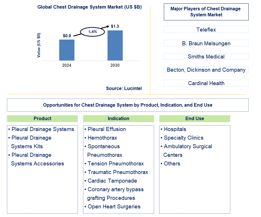 Chest Drainage System Market Report: Trends, Forecast and Competitive ...