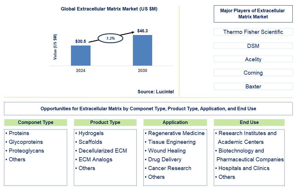 Extracellular Matrix Market Report: Trends, Forecast and Competitive ...