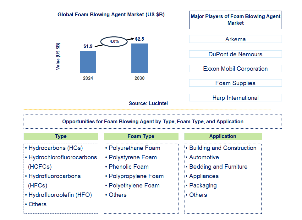 Foam Blowing Agent Market Report: Trends, Forecast and Competitive ...