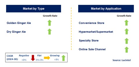 Ginger Ale Market Report: Trends, Forecast and Competitive Analysis to 2030