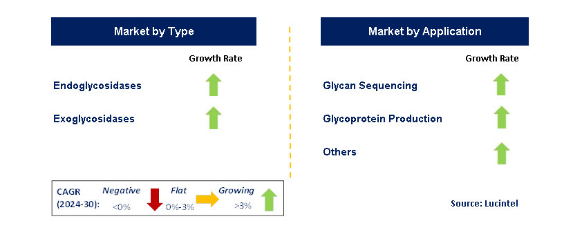 Glycobiology Enzyme Market Report: Trends, Forecast and Competitive ...