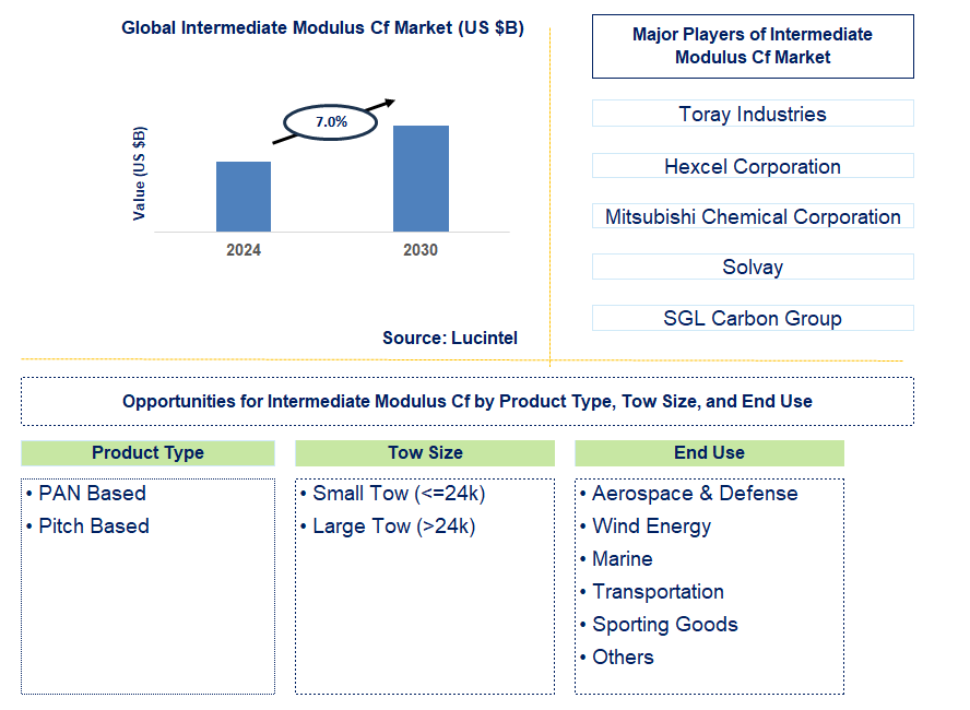 Intermediate Modulus CF Market Report: Trends, Forecast and Competitive ...