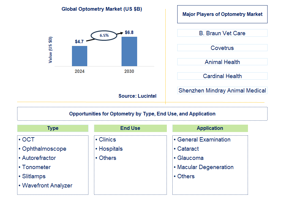 Optometry Market Report: Trends, Forecast and Competitive Analysis to 2030
