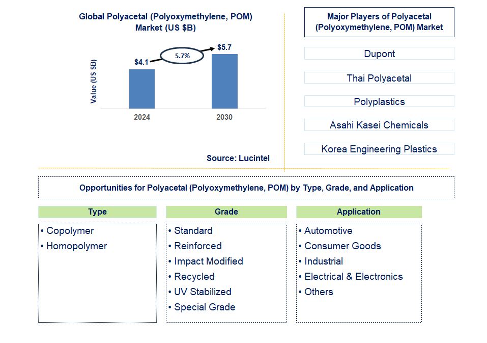 Polyacetal (Polyoxymethylene, POM) Market Report: Trends, Forecast and ...