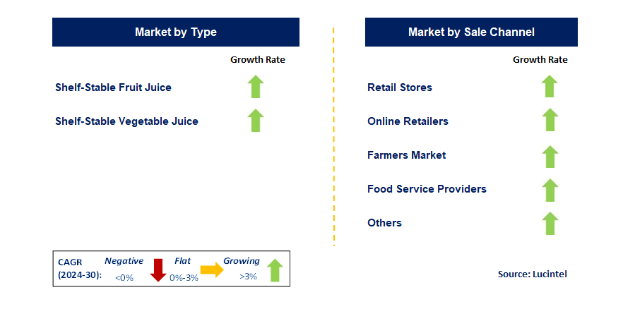 Shelf-Stable Fruit and Vegetable Juice Market Report: Trends, Forecast ...