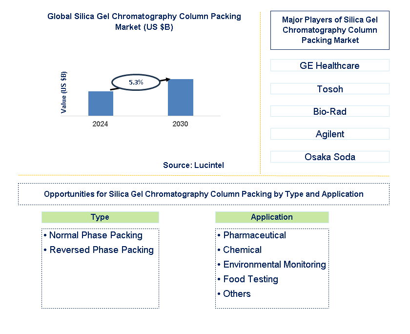 Silica Gel Chromatography Column Packing Market Report: Trends ...