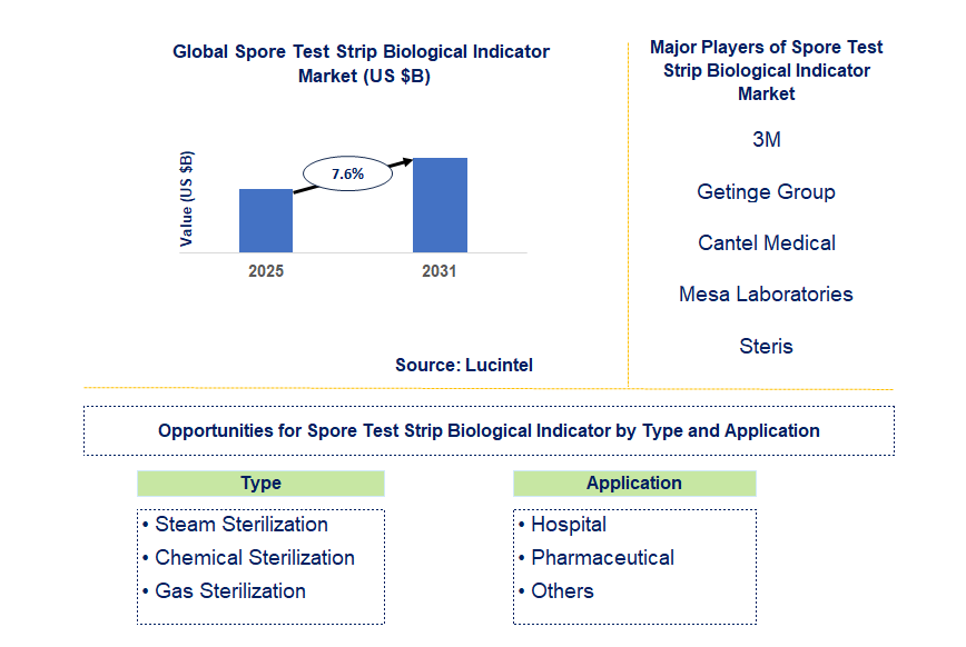 Spore Test Strip Biological Indicator Market Report: Trends, Forecast ...