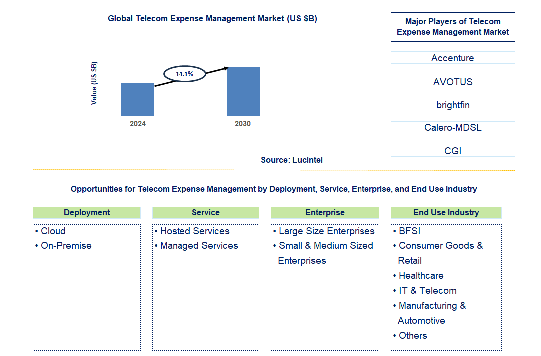 Telecom Expense Management Market Report: Trends, Forecast and ...