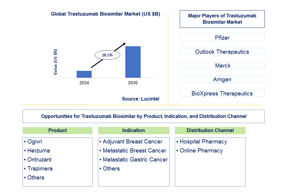 Trastuzumab Biosimilar Market Report: Trends, Forecast and Competitive ...